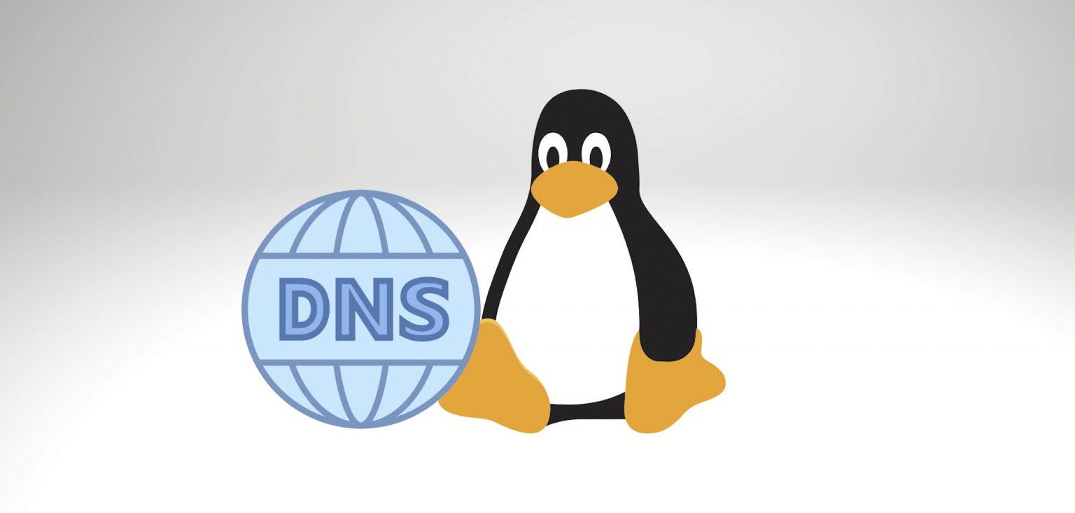 如何在 Linux 中更改 DNS：2025 年指南 - 硬件指南