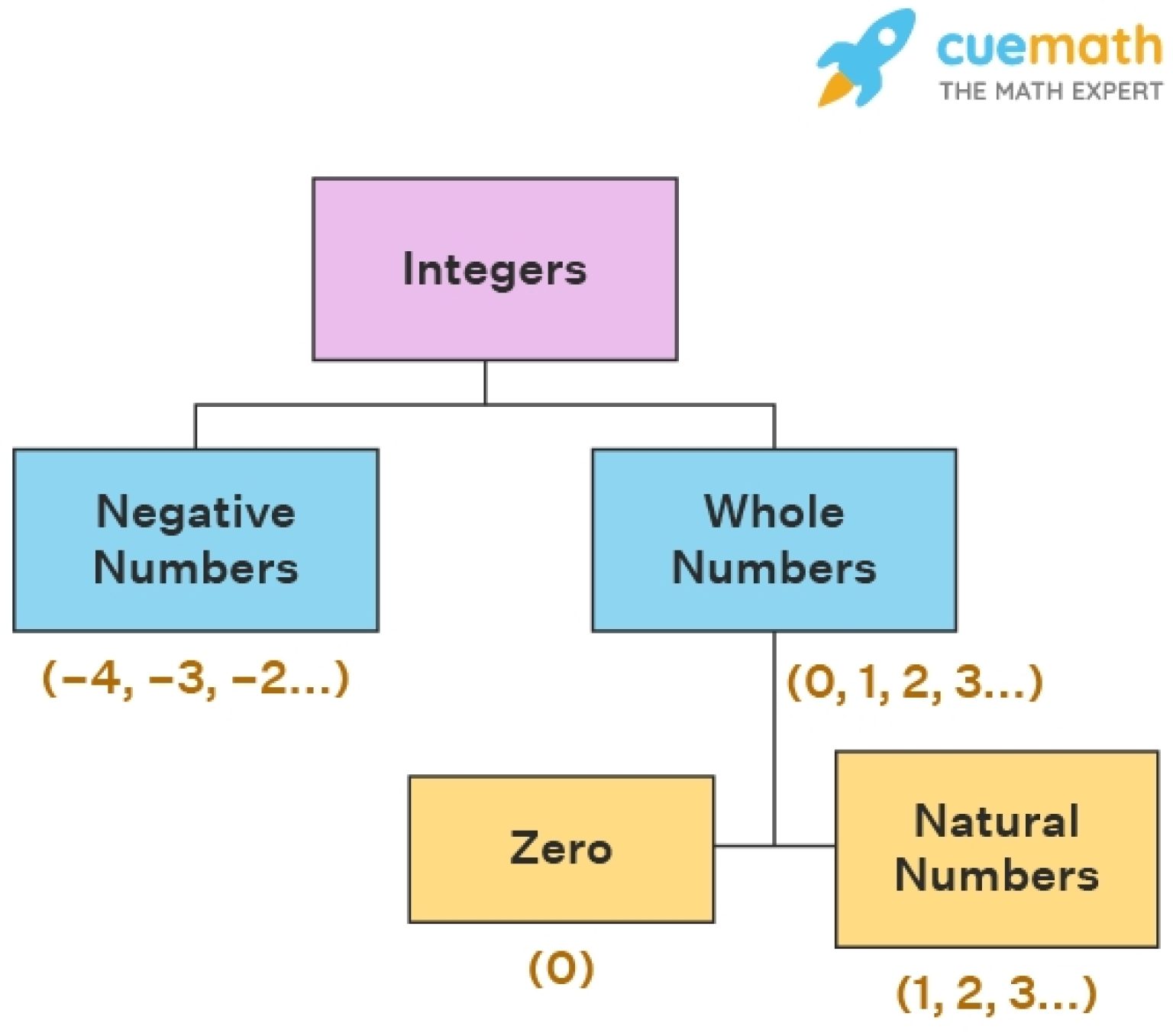 Integers vs. Floating Points: What They Are and What They Are Used For