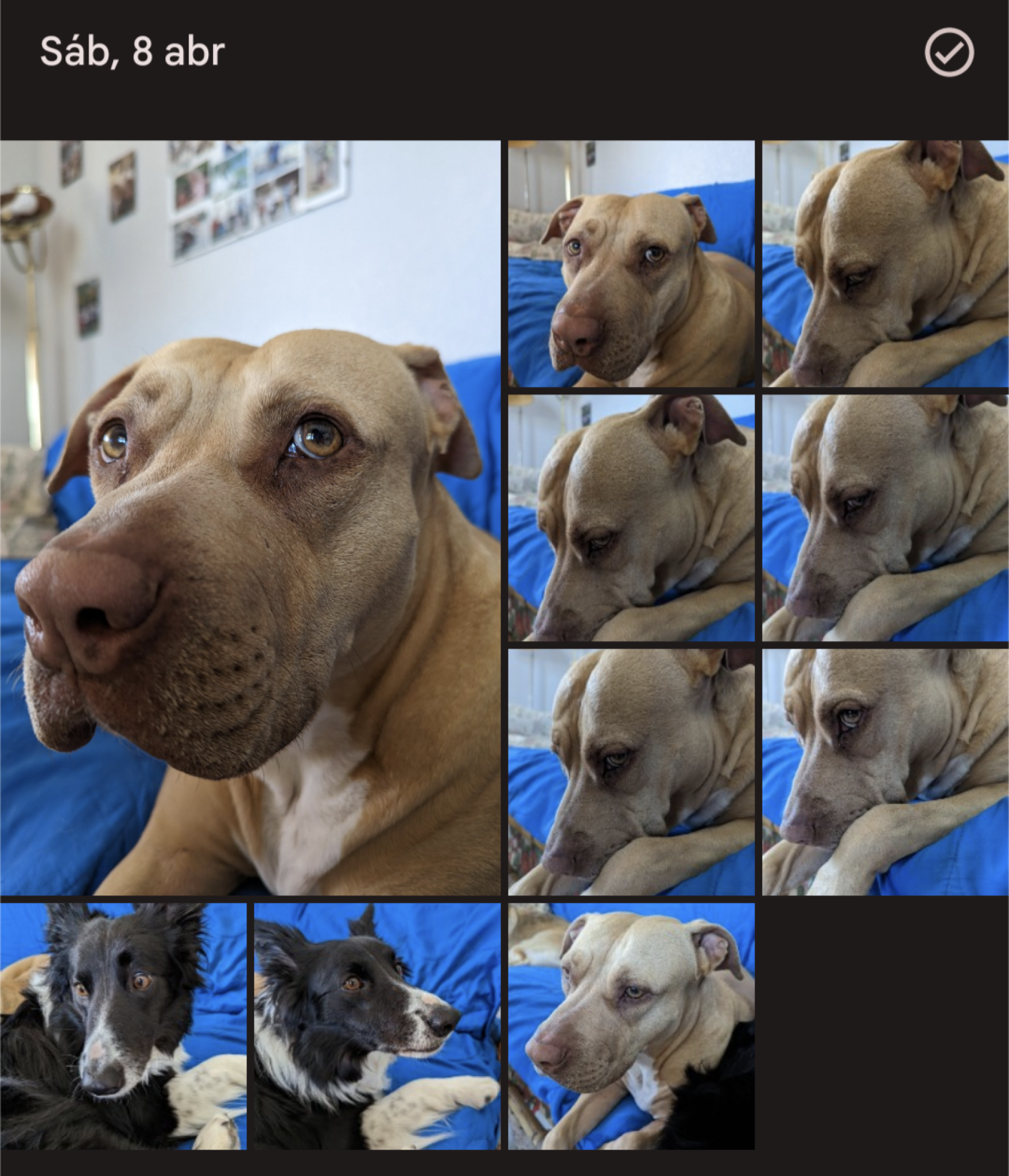 Thumbnails: What They Are and How to Delete Them on Android - Hardware Guide
