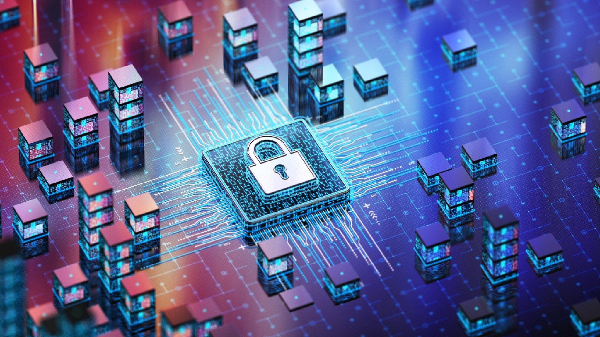 Cyber Insurance: What is it and what does it protect us from ...