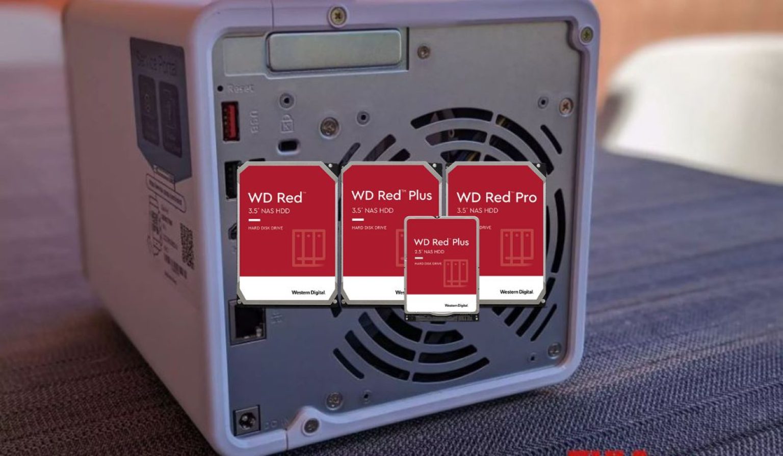 WD Red vs WD Red Plus vs WD Red Pro: Comparativa para NAS - Guía Hardware